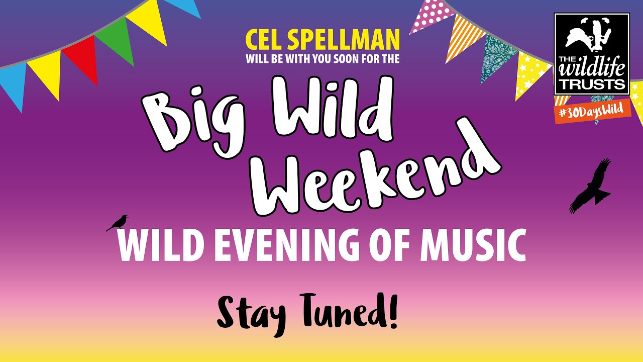 The Wildlife Trusts' Big Wild Weekend Music Night! - YouTube