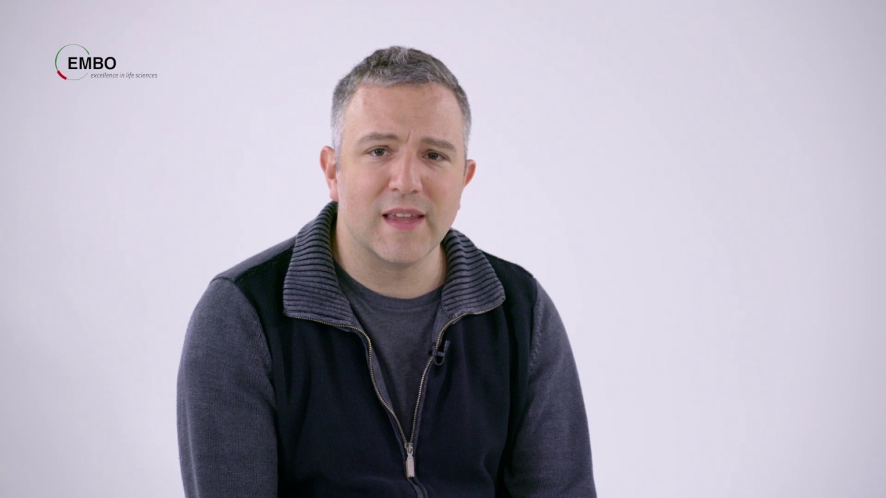 Meet EMBO Installation Grantee - Cory Dunn - YouTube