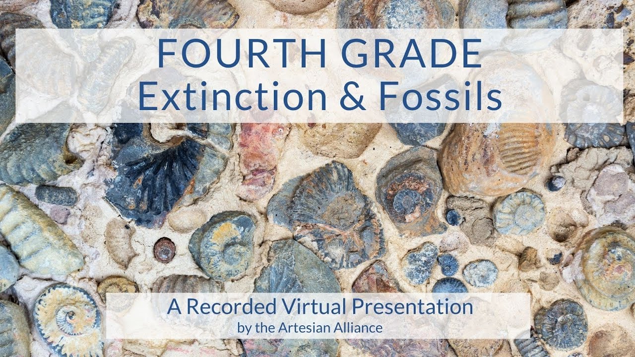 Fourth Grade: Extinction & Fossils - YouTube