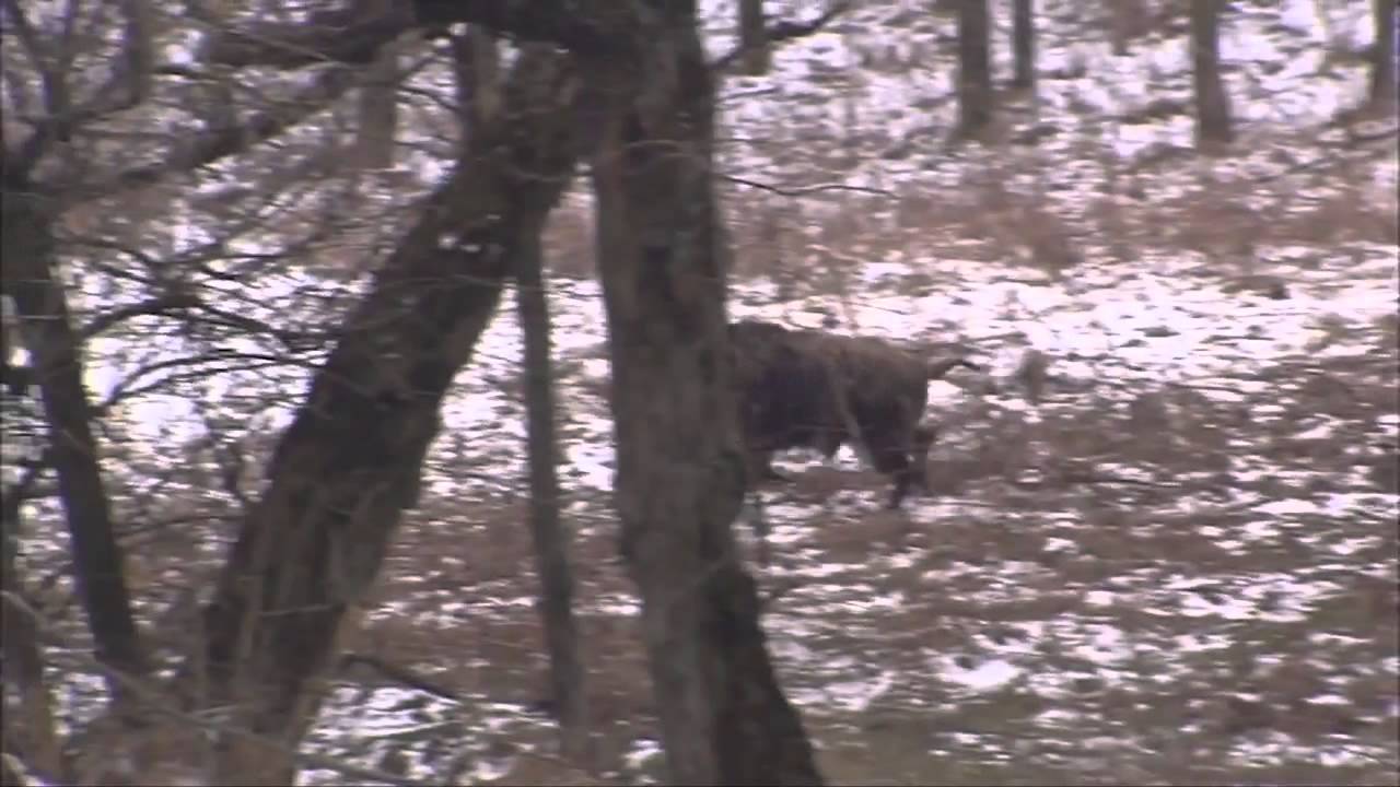 best hunter ever - YouTube