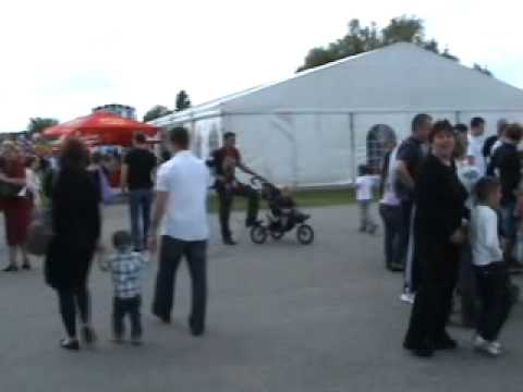 Dani šibe i ribe 2010.  -  Pletenje korpe od vrbove šibe