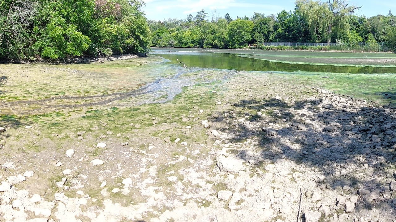 Aqua-Vandalism? Human-caused dam failure drains a local pond overnight ...