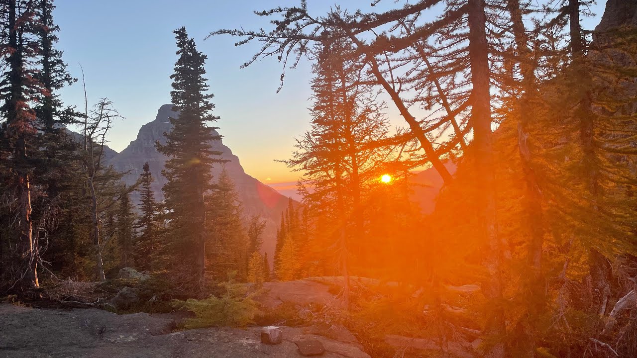 The most glorious toilet in the world - YouTube