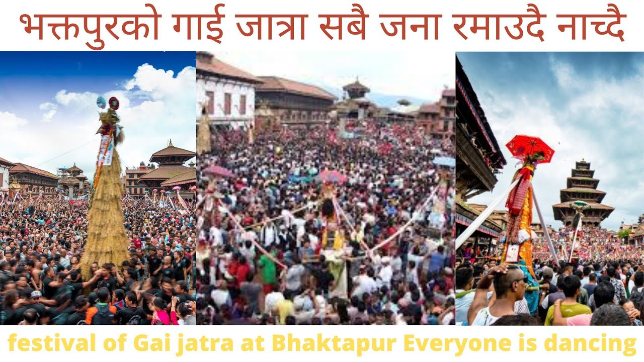 भक्तपुरको गाई जात्रा सबै जना रमाउदै नाच्दै || festival of Gai jatra at ...