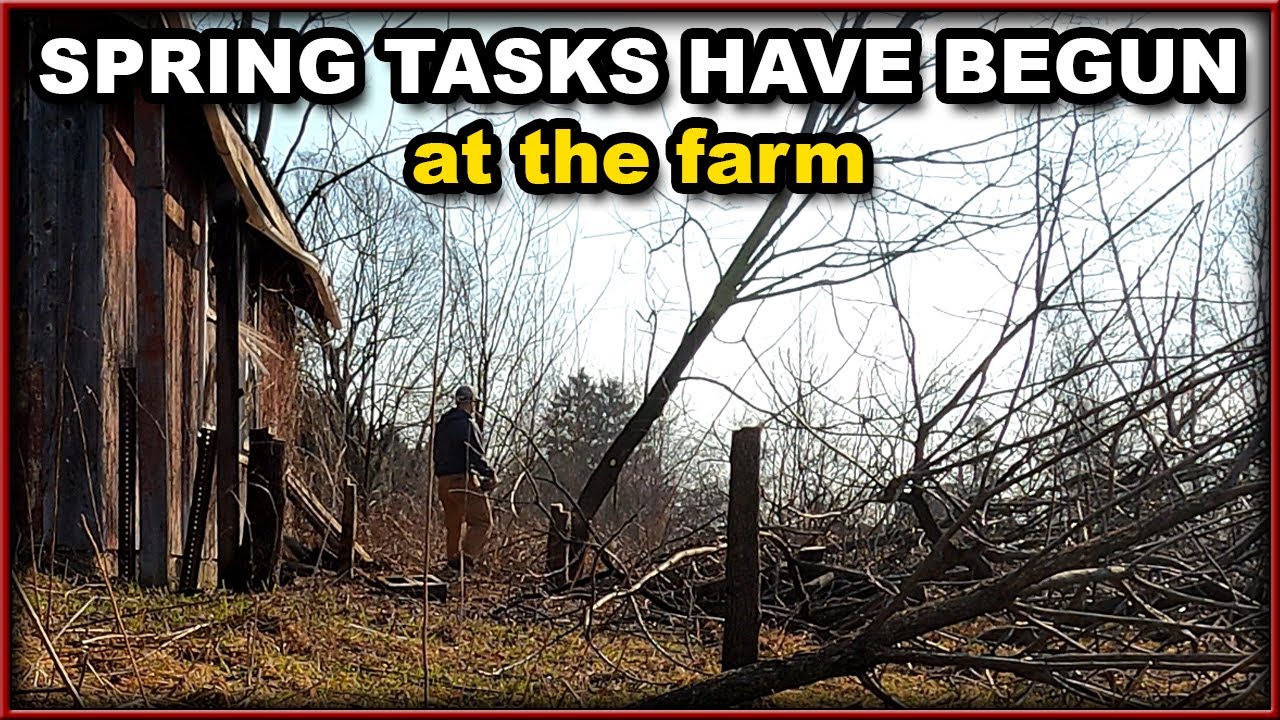 Spring tasks have begun at the farm - YouTube