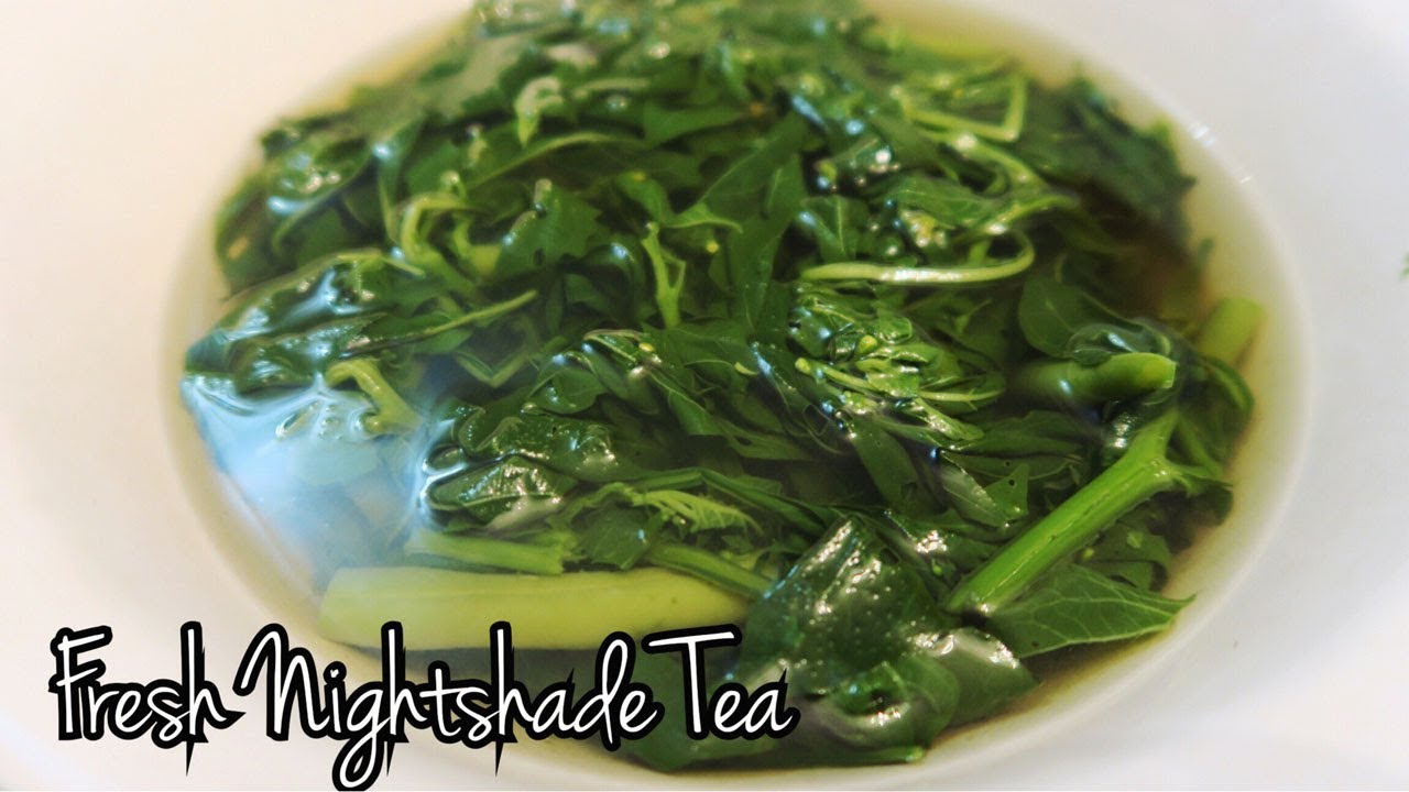 HOW TO MAKE FRESH NIGHTSHADE TEA - YouTube