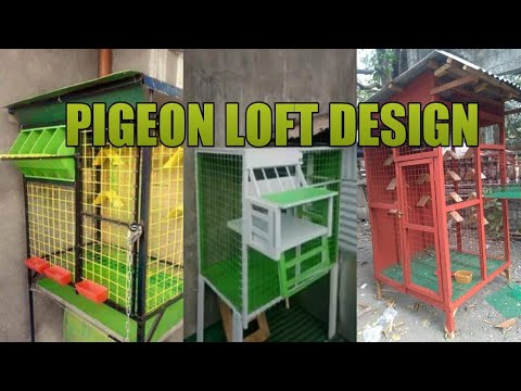 SIMPLE PIGEON LOFT DESIGN IDEA - YouTube