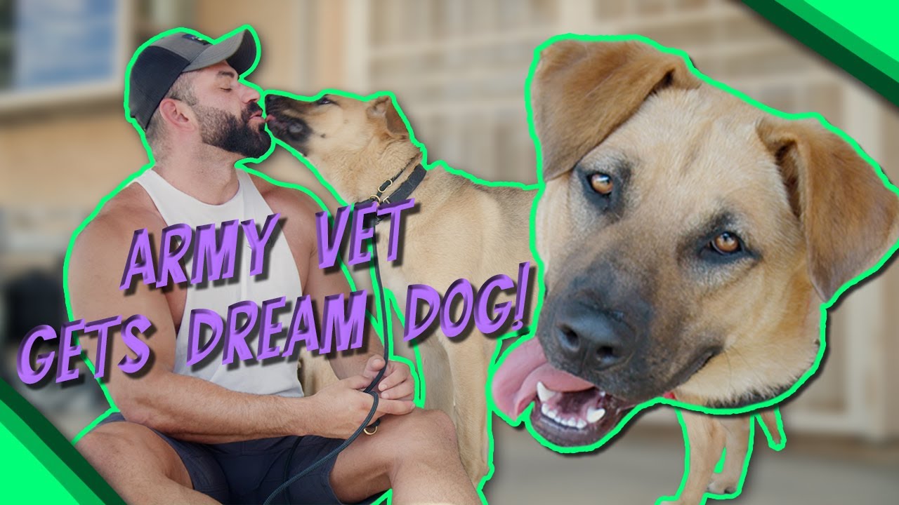 Veteran adopts the perfect pup! | Marley's Mutts - YouTube