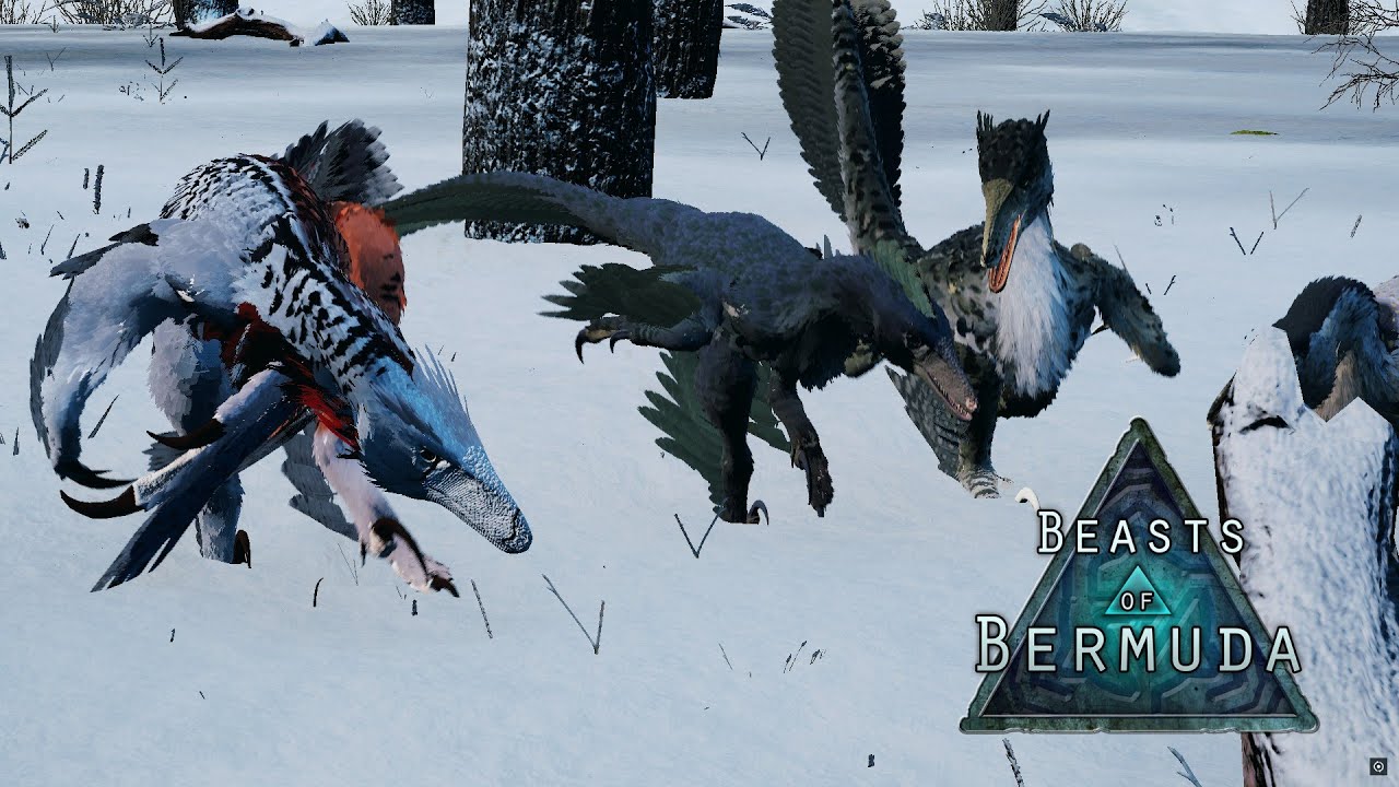 CHILLY CHANGYURAPTORS - Beasts of Bermuda Changyuraptor Gameplay - YouTube