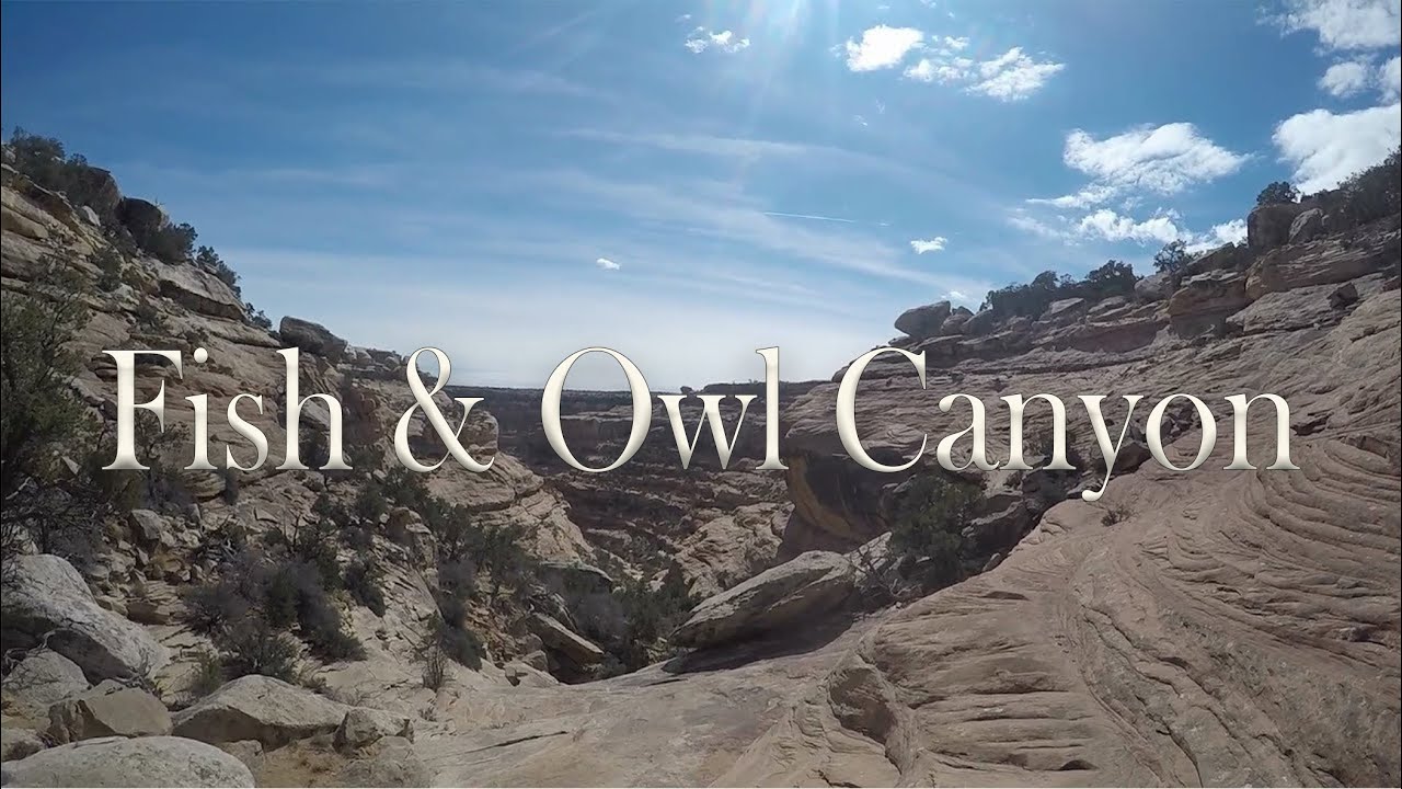 Backpacking Cedar Mesa - Fish and Owl Canyon, Utah - YouTube