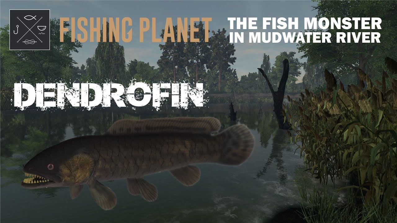Mudwater River Dendrofin Fish Monster - YouTube