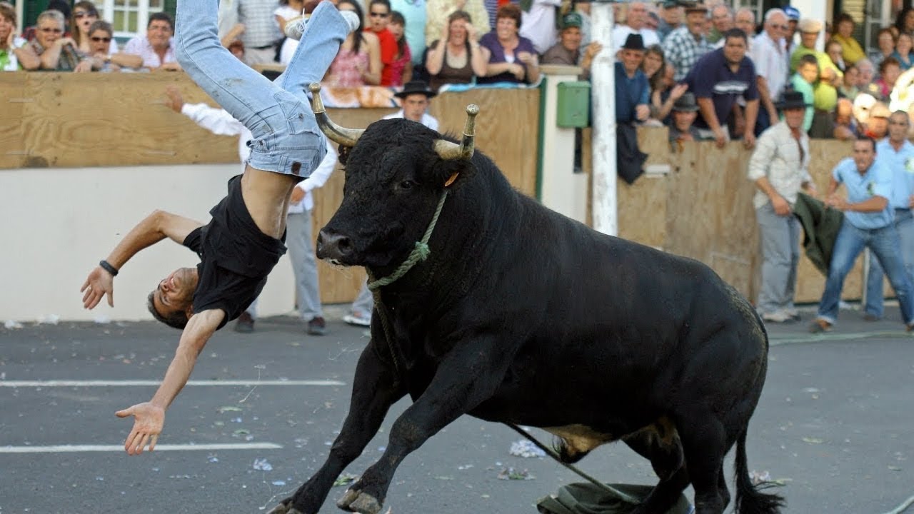 Funny videos | Bullfighting Festival #1 | Stupid people | Troll |Bull ...