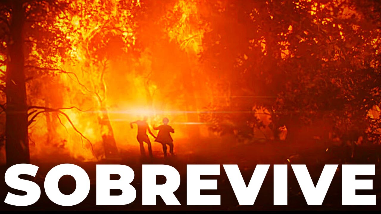 ATRAPADO en un INCENDIO FORESTAL y cómo SOBREVIVIR | Que hacer en caso ...