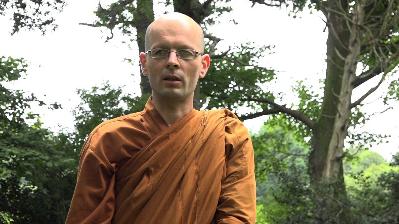 Wisdom วัดป่าจิตตวิเวก Wat Pah Cittaviveka, Chithurst Buddhist ...