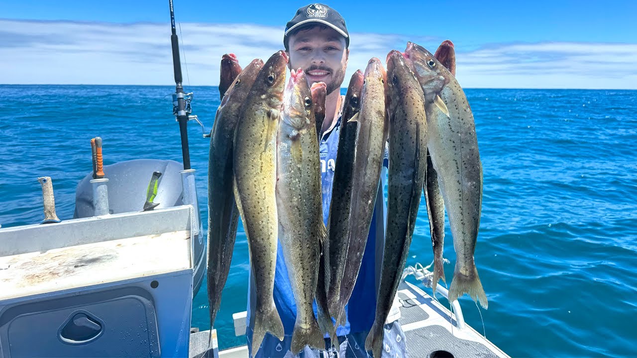 King George Whiting Fishing Session and Cooking Crayfish (Southern Rock Lobster) - YouTube