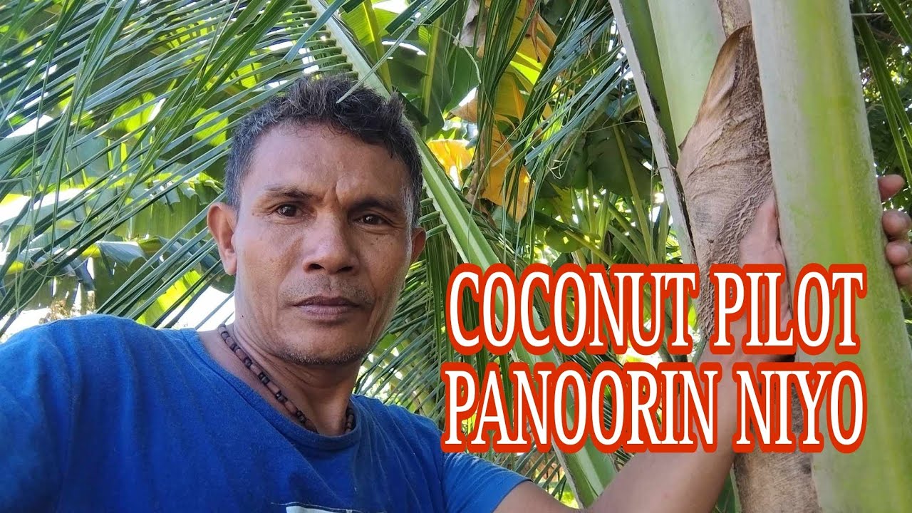 COCONUT PILOT MUNA TAYO GUYS - YouTube