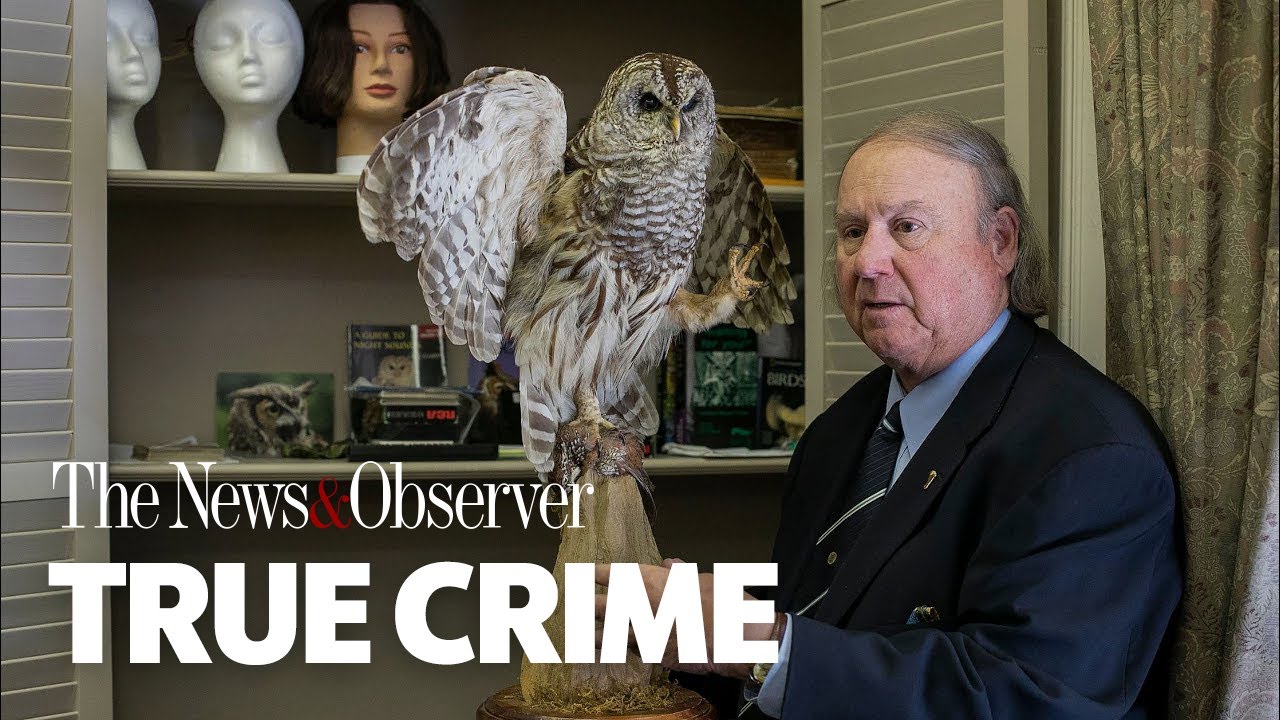 Larry Pollard on The Owl Theory, ‘smoking feather’ and more from ...