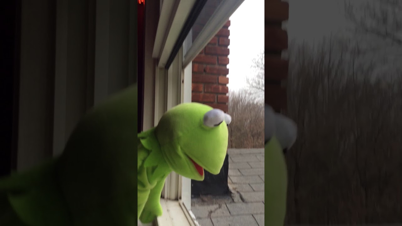 Kermit Death - YouTube