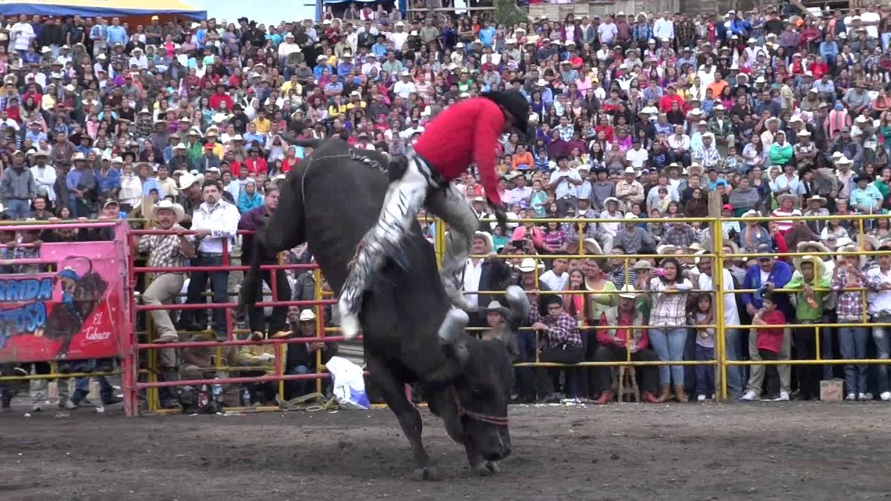 Monta De Toros En Mexico