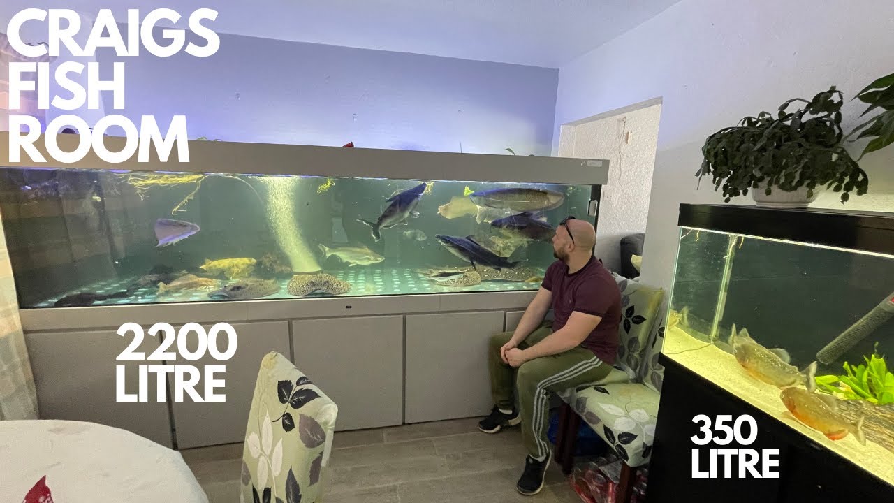 FISH ROOM TOUR VISITING CRAIGS 2200 LITRE 10FT TANK WITH THE BIGGEST ...