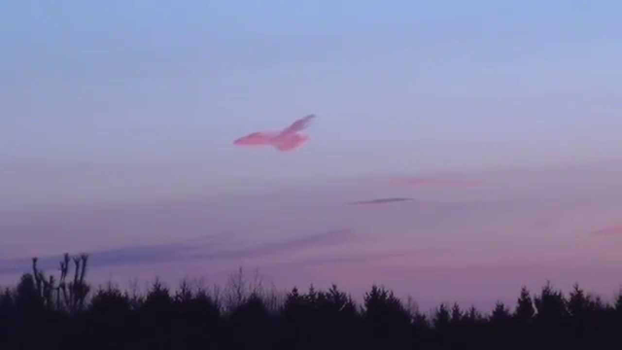 Massive Ufo Bird - Like Sighting In The Sky April 2015 - YouTube