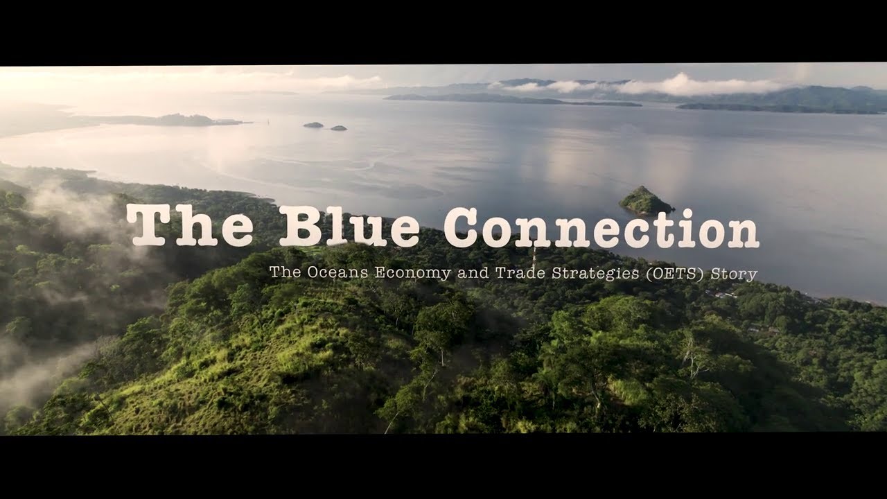 La Conexión Azul (The Blue Connection) - YouTube