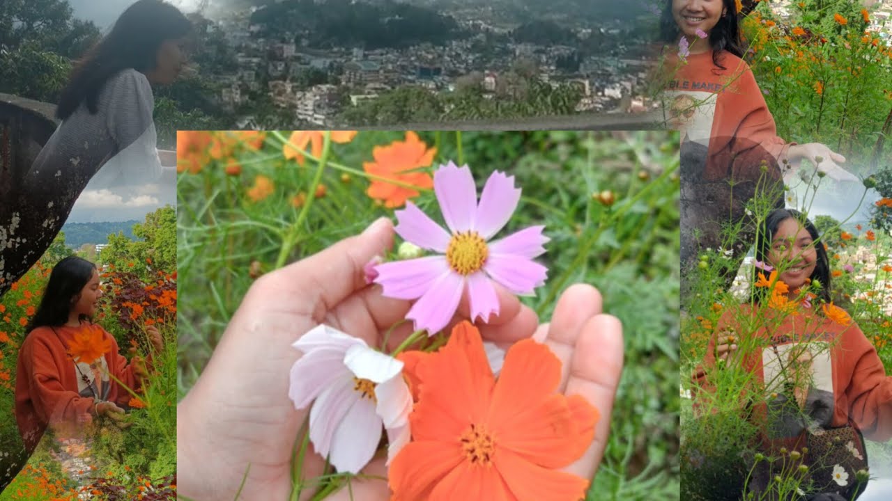 Nongstoin view point o banga Aski pul🥰 - YouTube