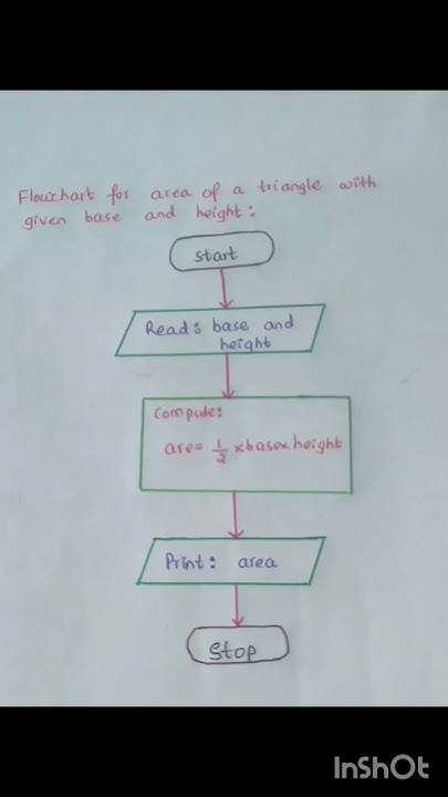 Flowchart || Area of triangle with given base and height #shortsviral # ...