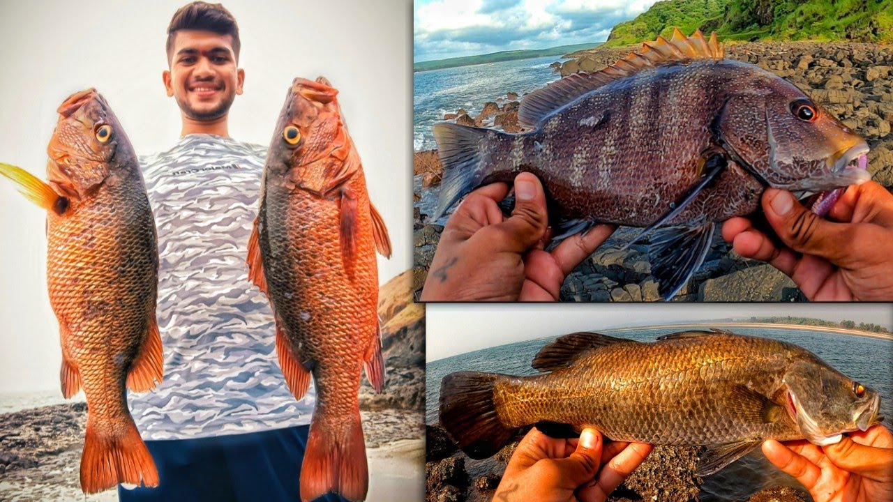 Many UNBELIEVABLE Catching Fishes For AMAZING UNIQUE Action Lures ...