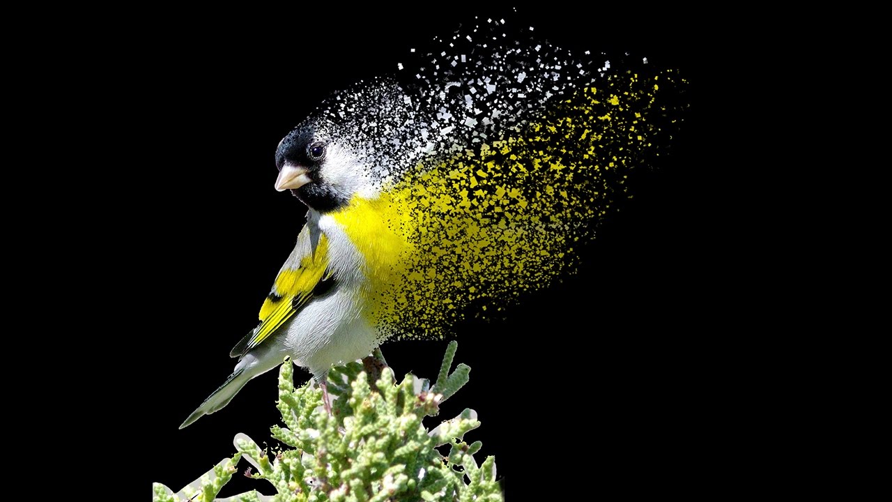 Disintegration Particle Effect In Photoshop - Photoshop Tutorial ...