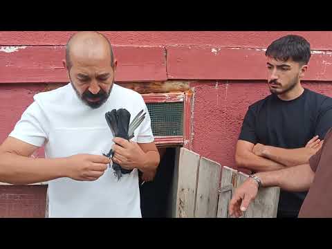 Siyah altınlar kendi öz kuşlarım çarşamba saat 21.00 Da görüşmek üzere