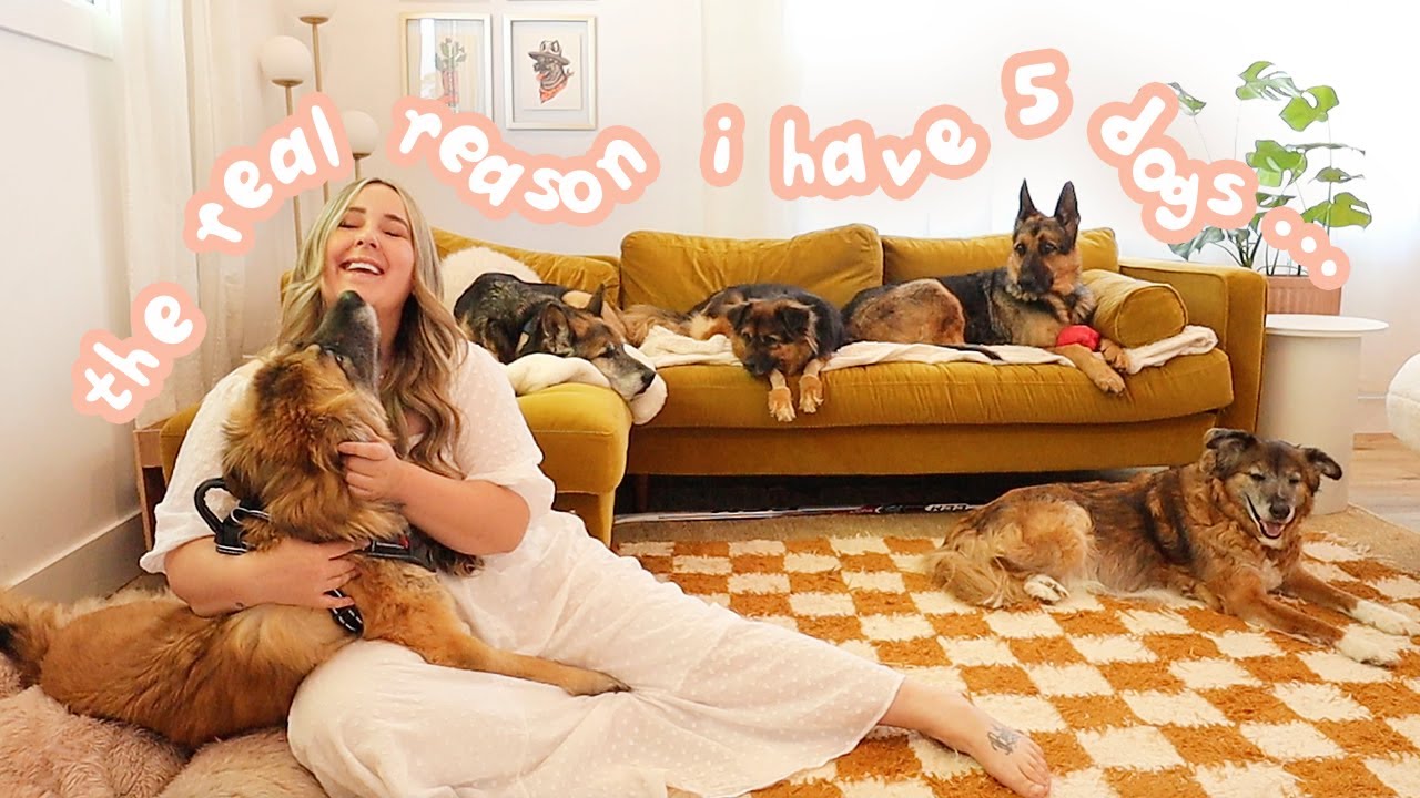 the REAL reason i have 5 dogs... - YouTube