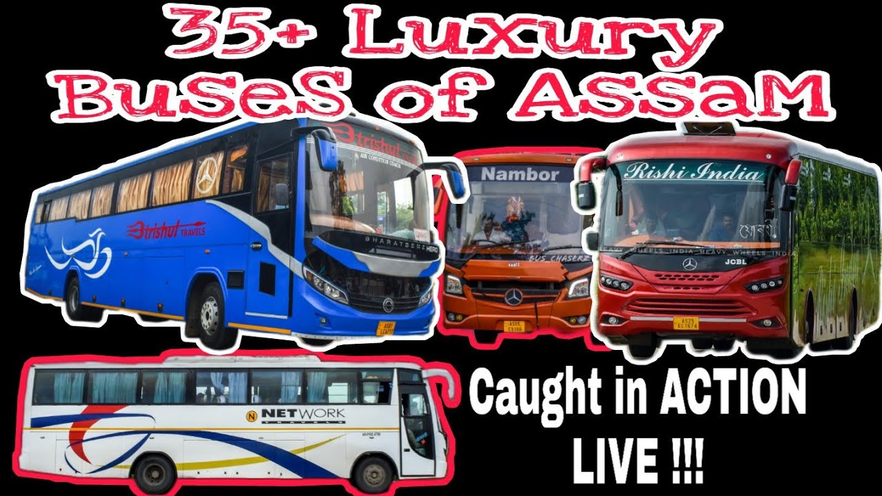 35+ Luxury Buses of ASSAM in Action | Nagaon Bypass | Volvo Bharat Benz ...