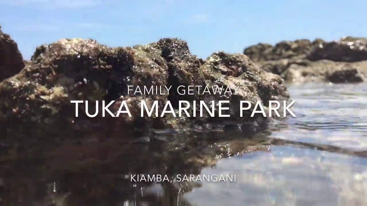 Tuka Marine Park -Family getaway- marine exploration - YouTube