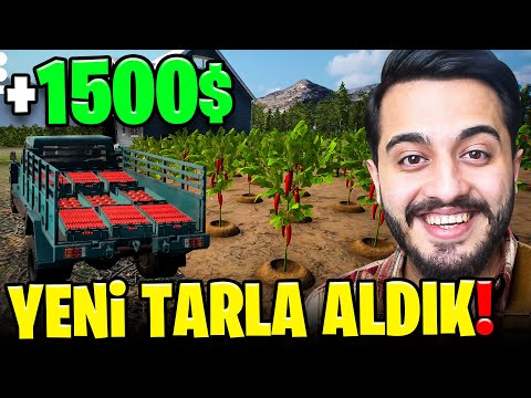 ACI BİBERDEN PARAYI BULDUK! 2 YENİ TARLA ALDIK! Farmer Life Simulator #2