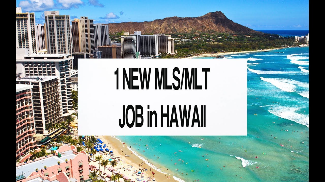 1 NEW MLS, MLT Hawaii Travel Job - YouTube