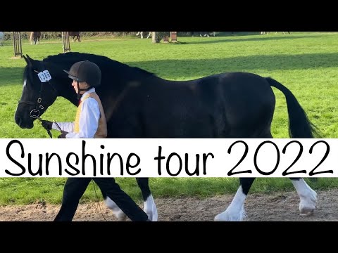 Sunshine tour championship show 2022 horse show vlog | m&m large breeds ...