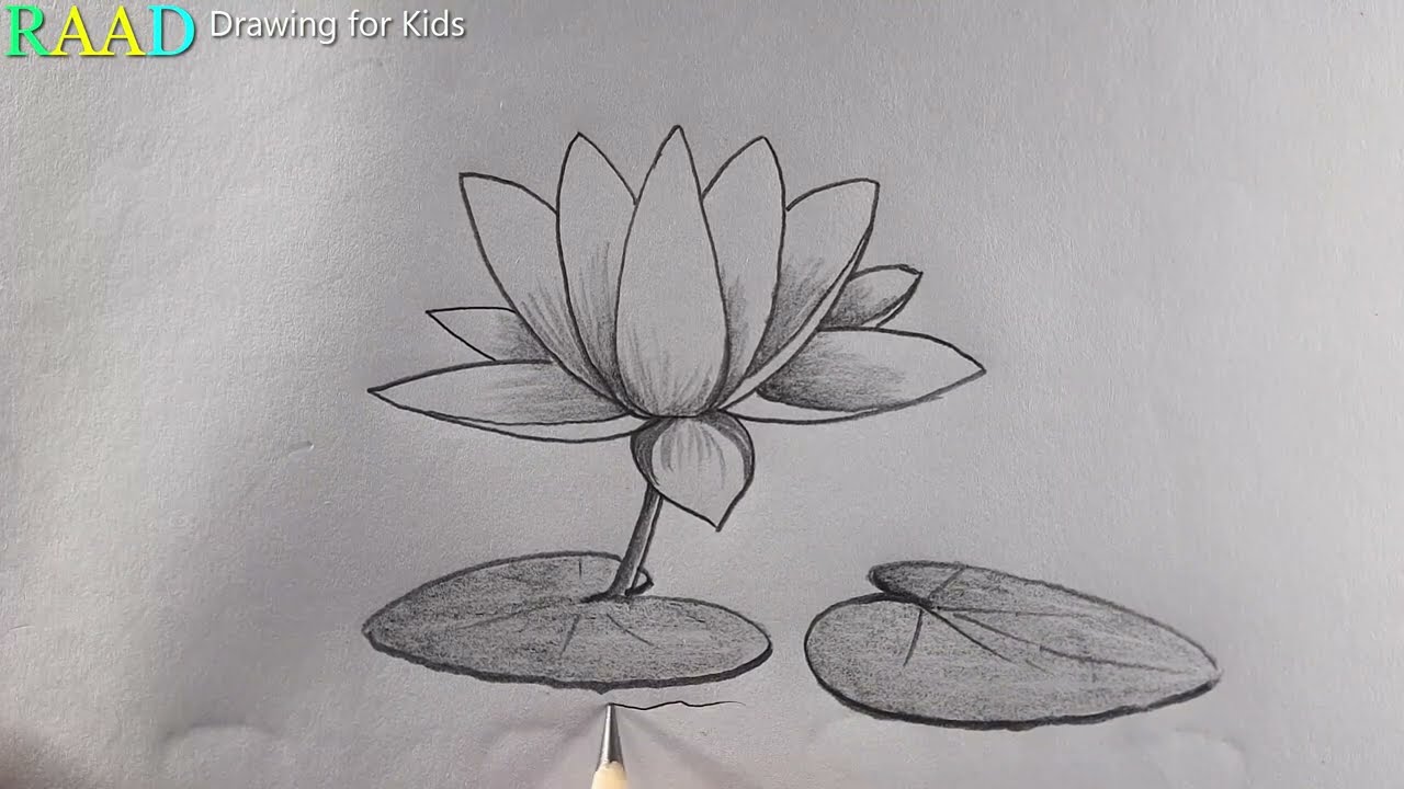 Water Flower Drawing