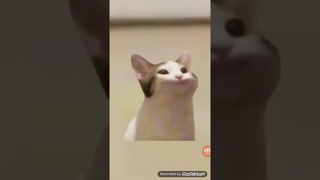 popopopopopopopopopopopop - YouTube