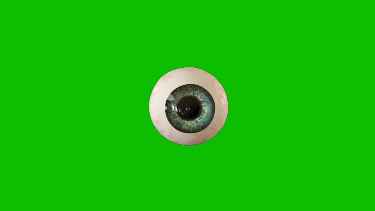 Human Eye 3D Animation Green Screen Effect HD video - YouTube
