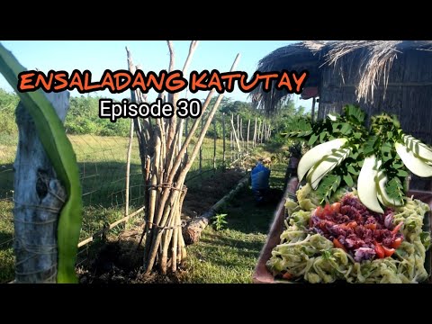 Getting firewood and I cooked Ensaladang Katuray (katuday) | My simple ...