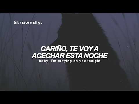 Maroon 5 - Animals (Sub. Español/Lyrics)