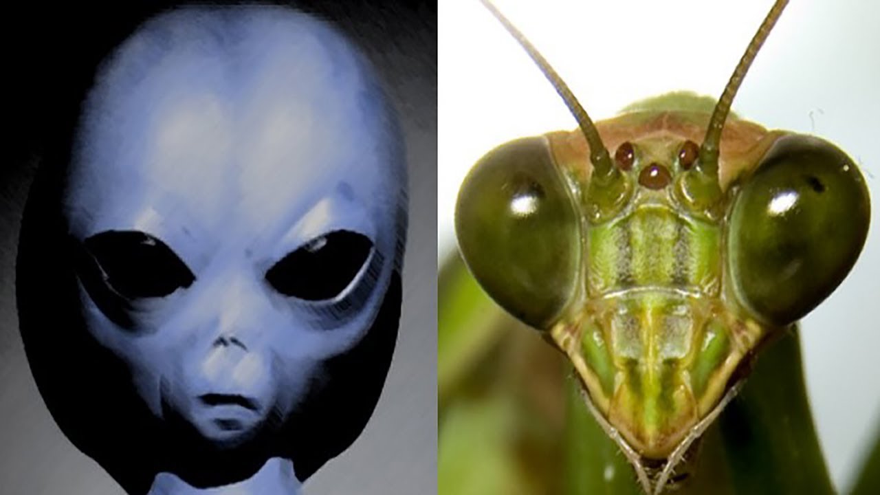 Ibisimba byarimbura isi mukanya gato bivuye mw' isanzure: Sobanukirwa ...