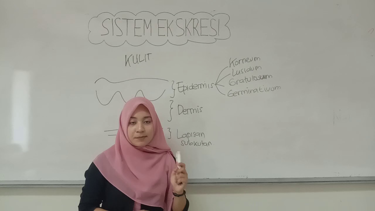 VIDEO PEMBELAJARAN KULIT SEBAGAI ORGAN EKSKRESI (ELSA ARI ASTUTI ...