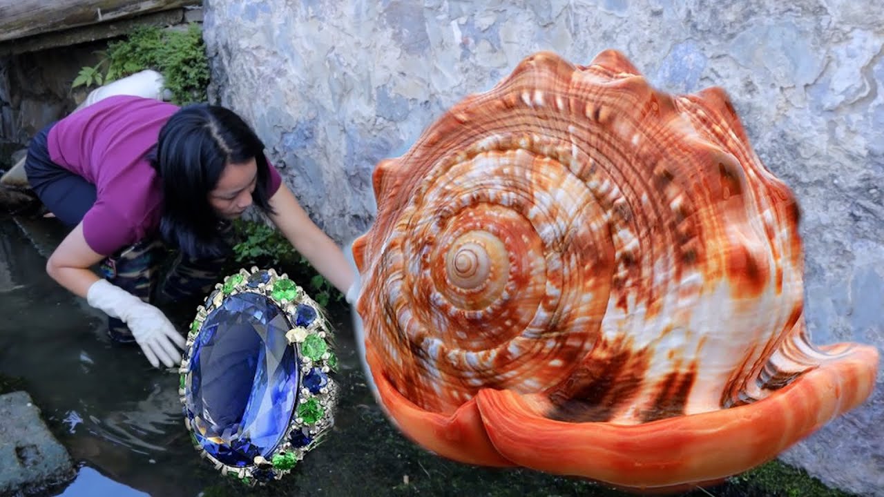 Giant mutated clams wrapped in colorful pearls, extremely beautiful ...