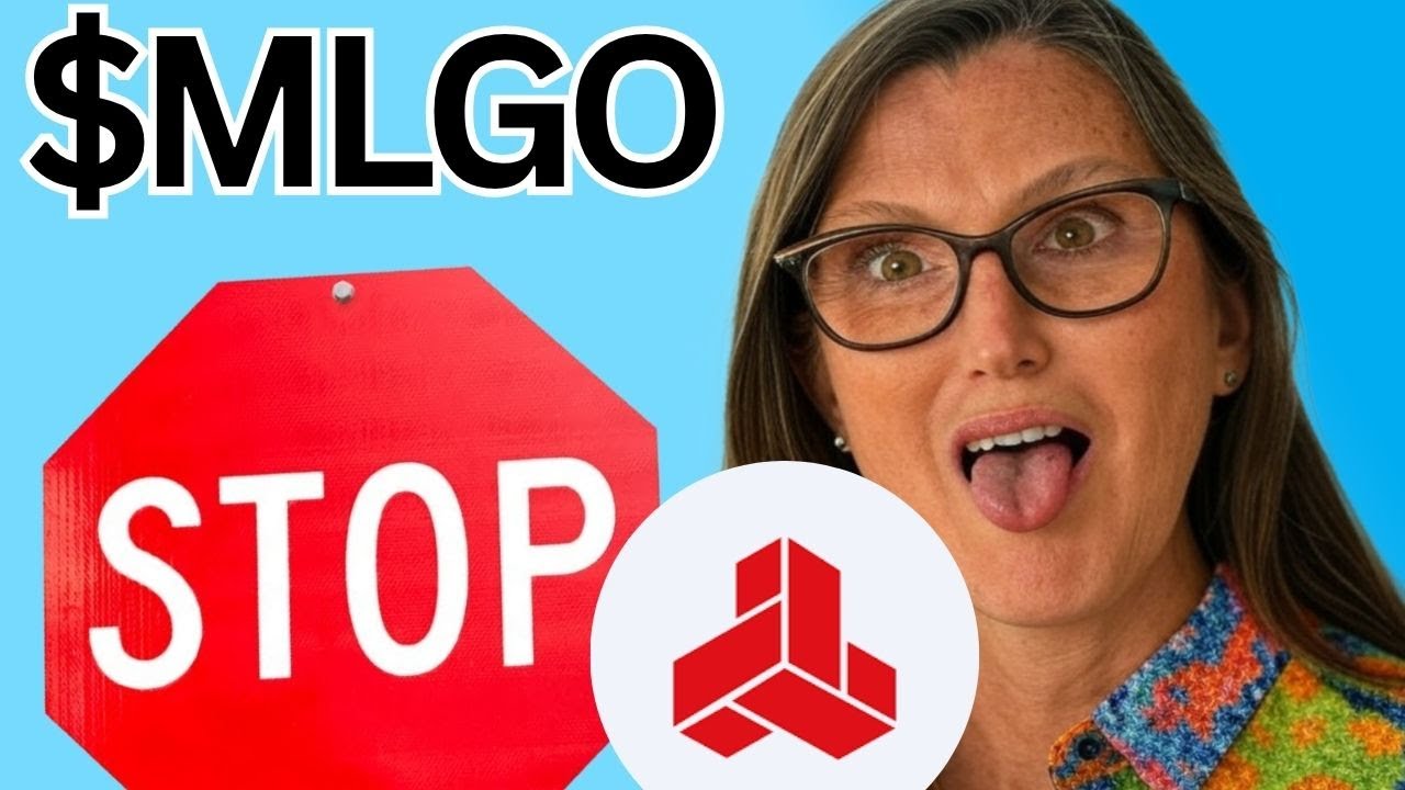 MLGO Stock TUESDAY MADNESS! (news update) MicroAlgo stock analysis best ...
