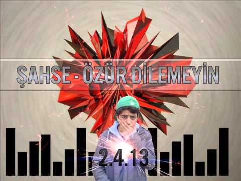 Şahse - Özür Dilemeyin