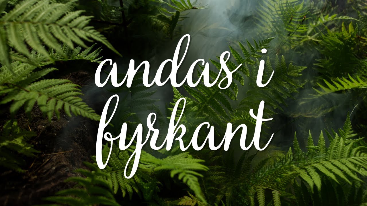 Andas i fyrkant - YouTube