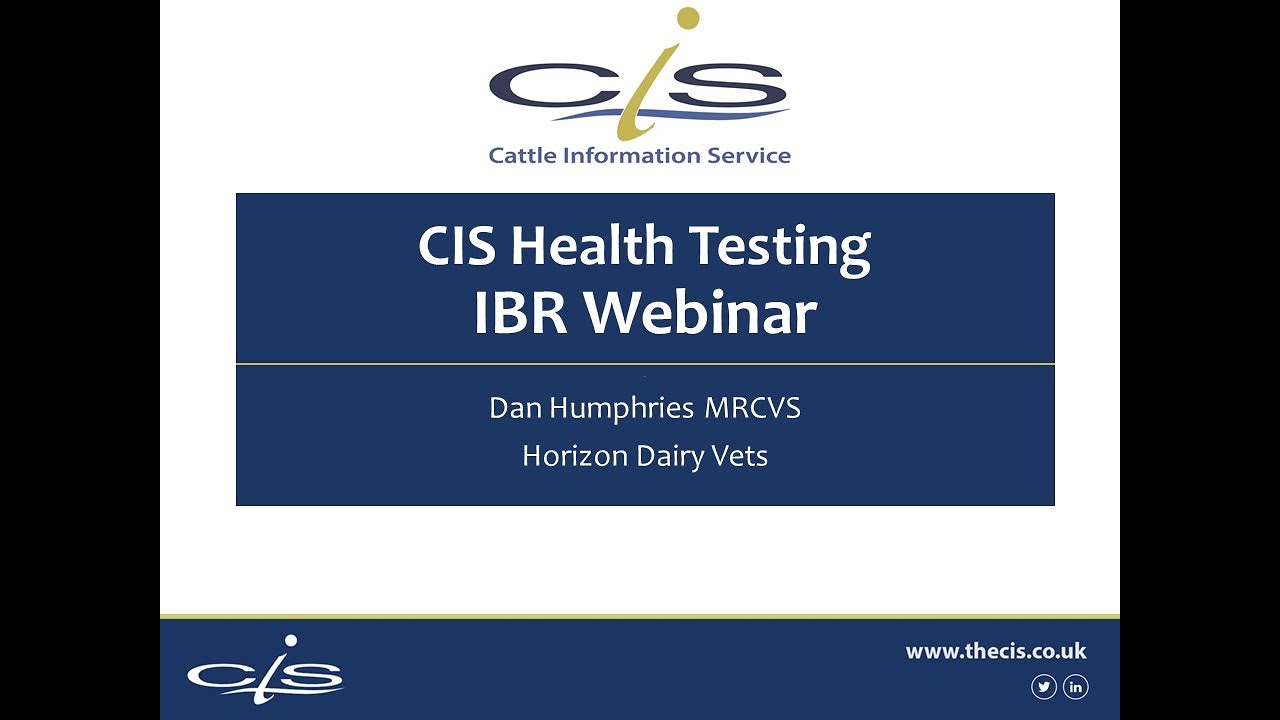 CIS Health Testing Webinar #3 - IBR - YouTube