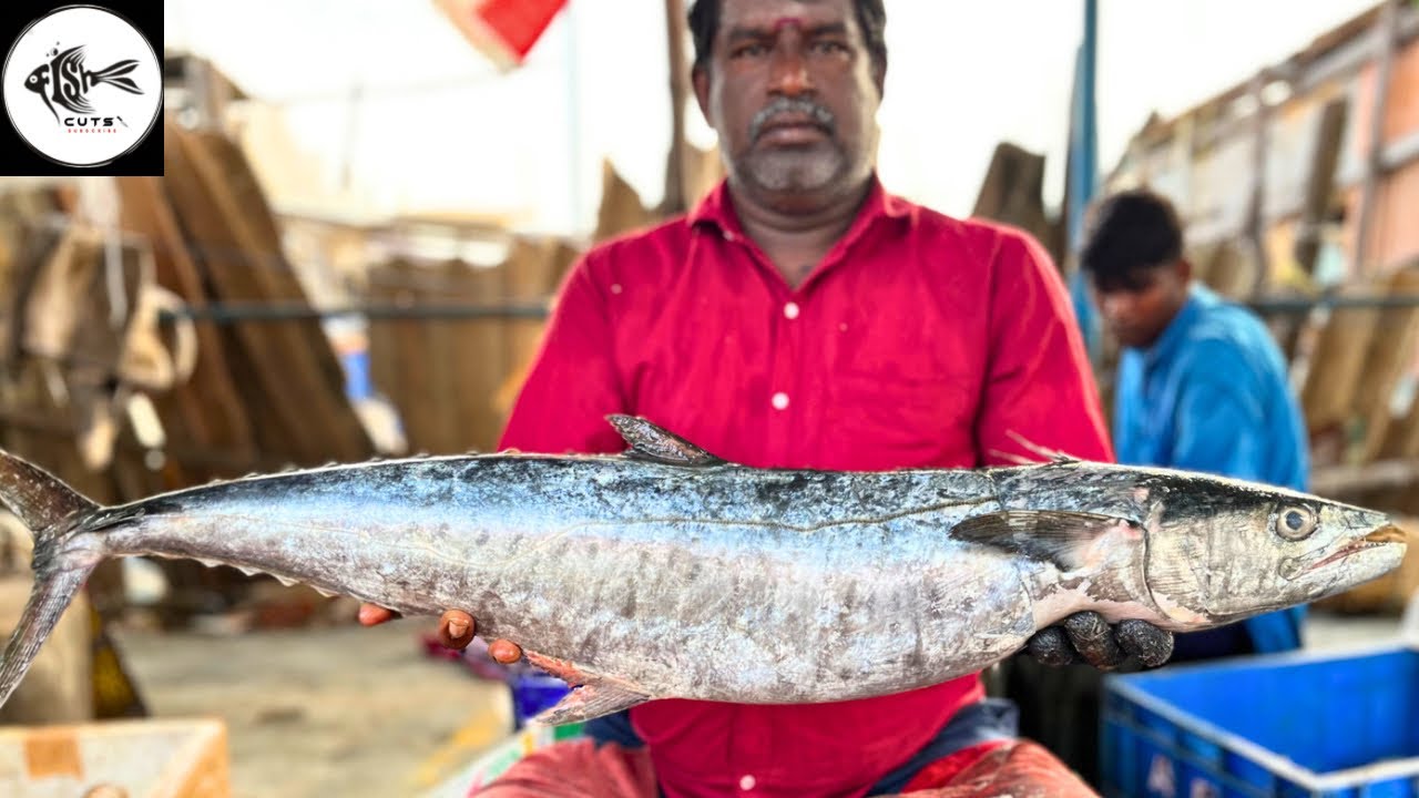 KASIMEDU SEER VANJARAM FISHCUTTING HD VIDEO IN KASIMEDU | FISH CUTS ⚔️💥 ...